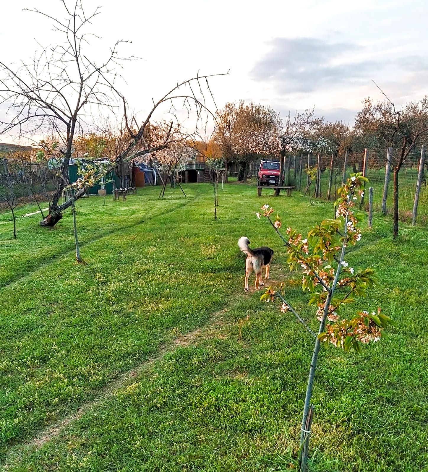 Turania, Rieti, Italie : Trouvez des sites de camping abordables pour ...