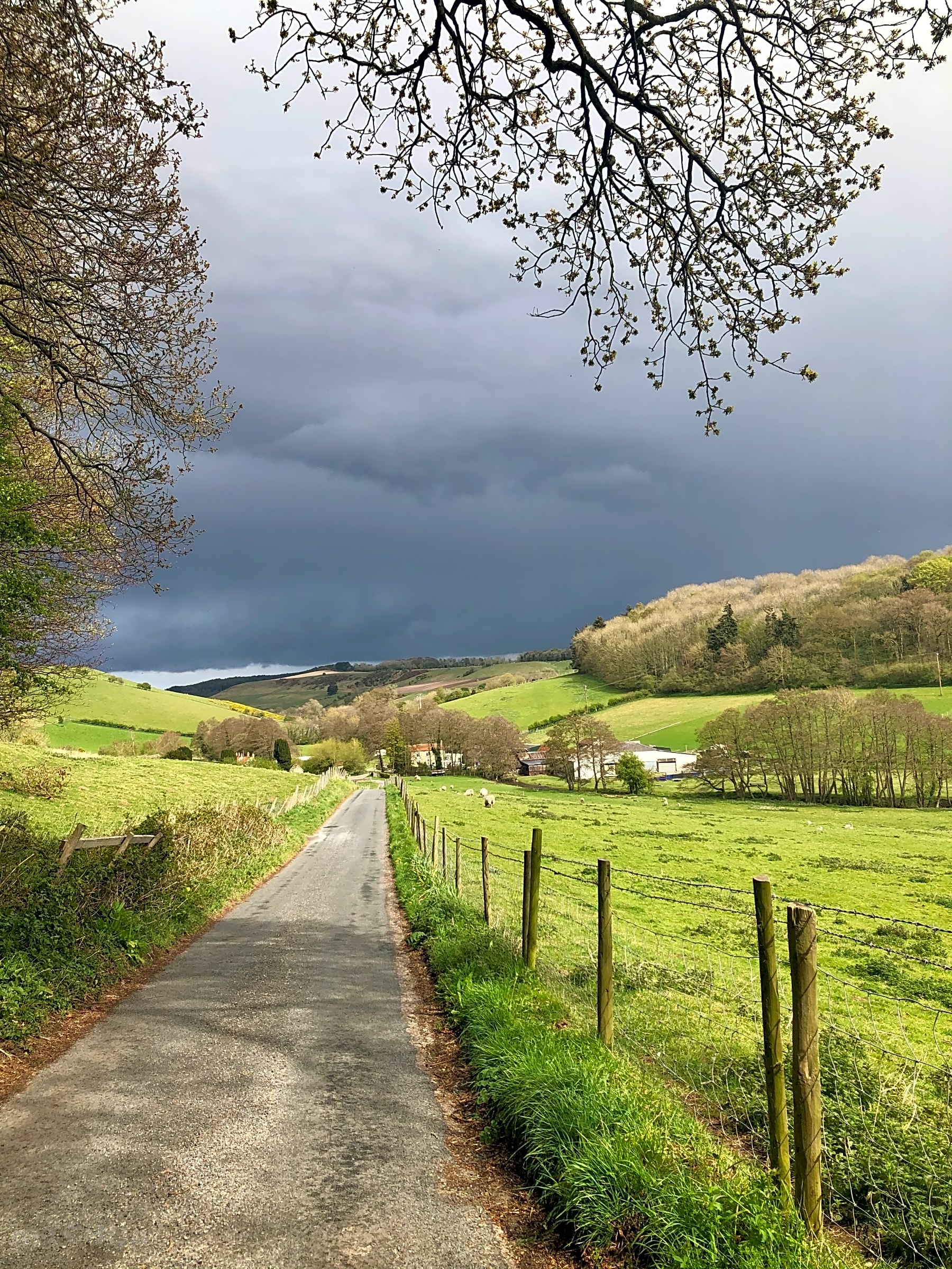 Low Farm Campsite, Thornton Dale, North Yorkshire | Pitchup.com