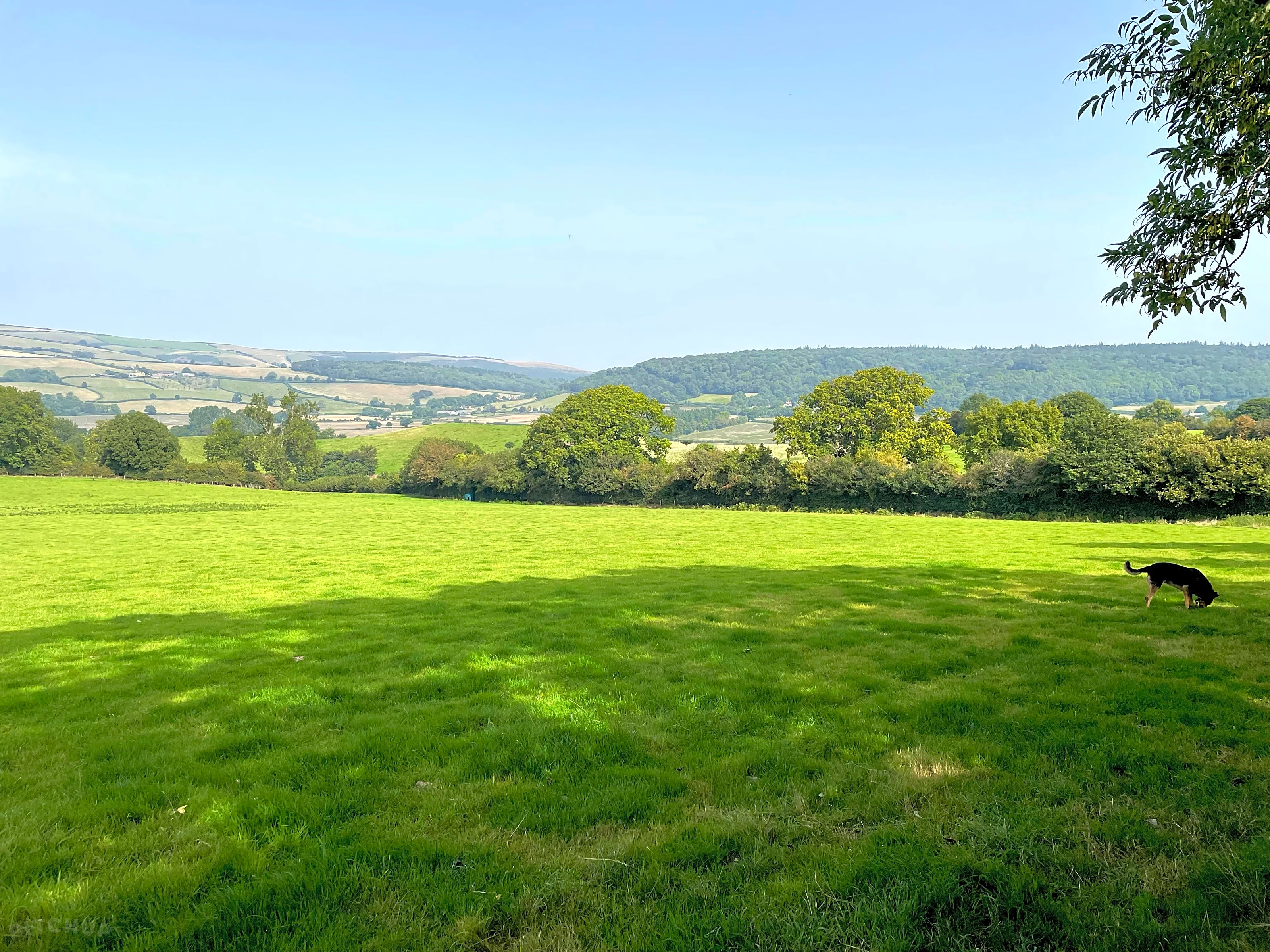 Porlock Vale Campsite, Minehead, Somerset - Updated 2024 prices ...