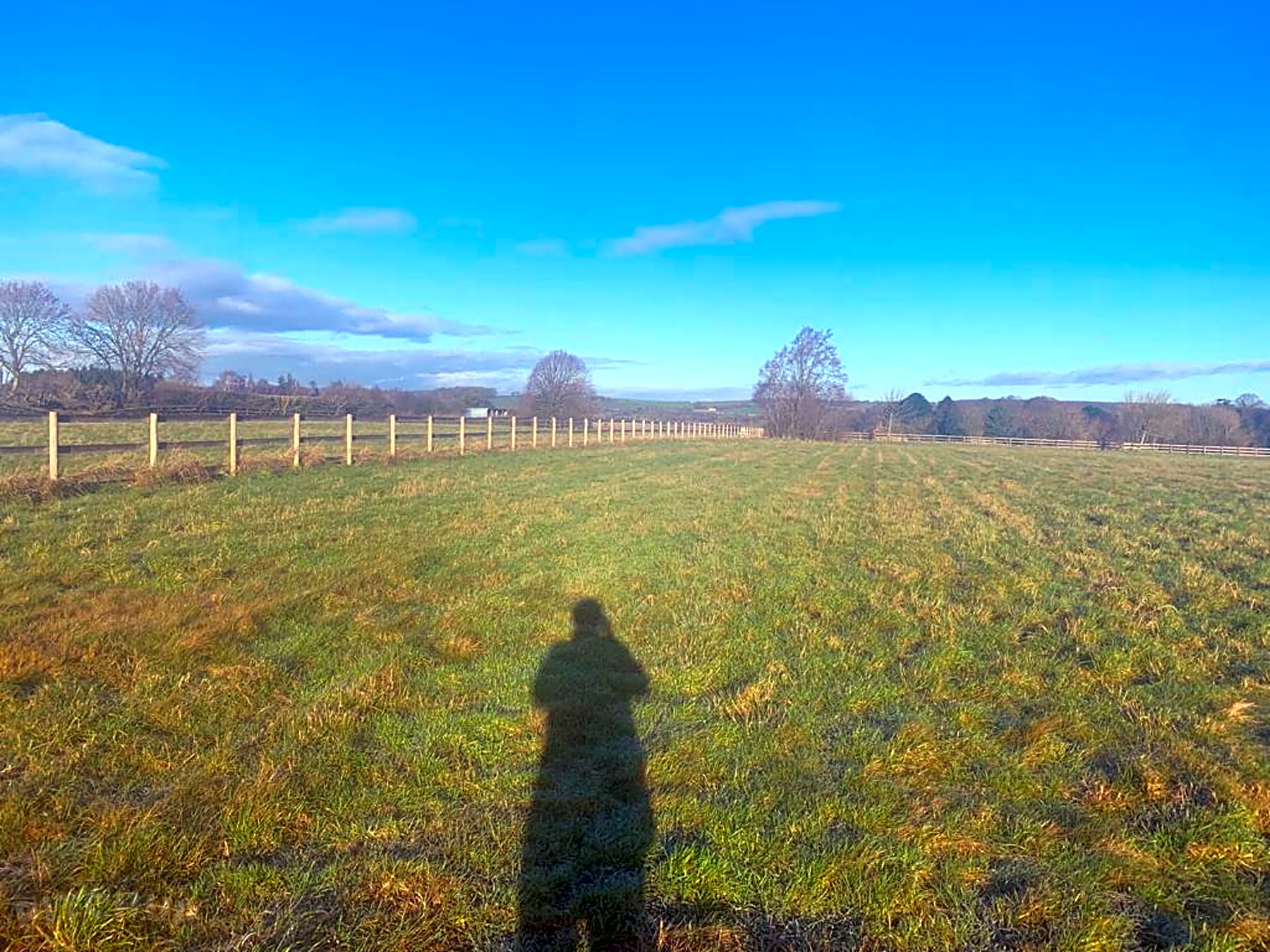 The Red Post Campsite, Bere Regis, Dorset | Pitchup.com