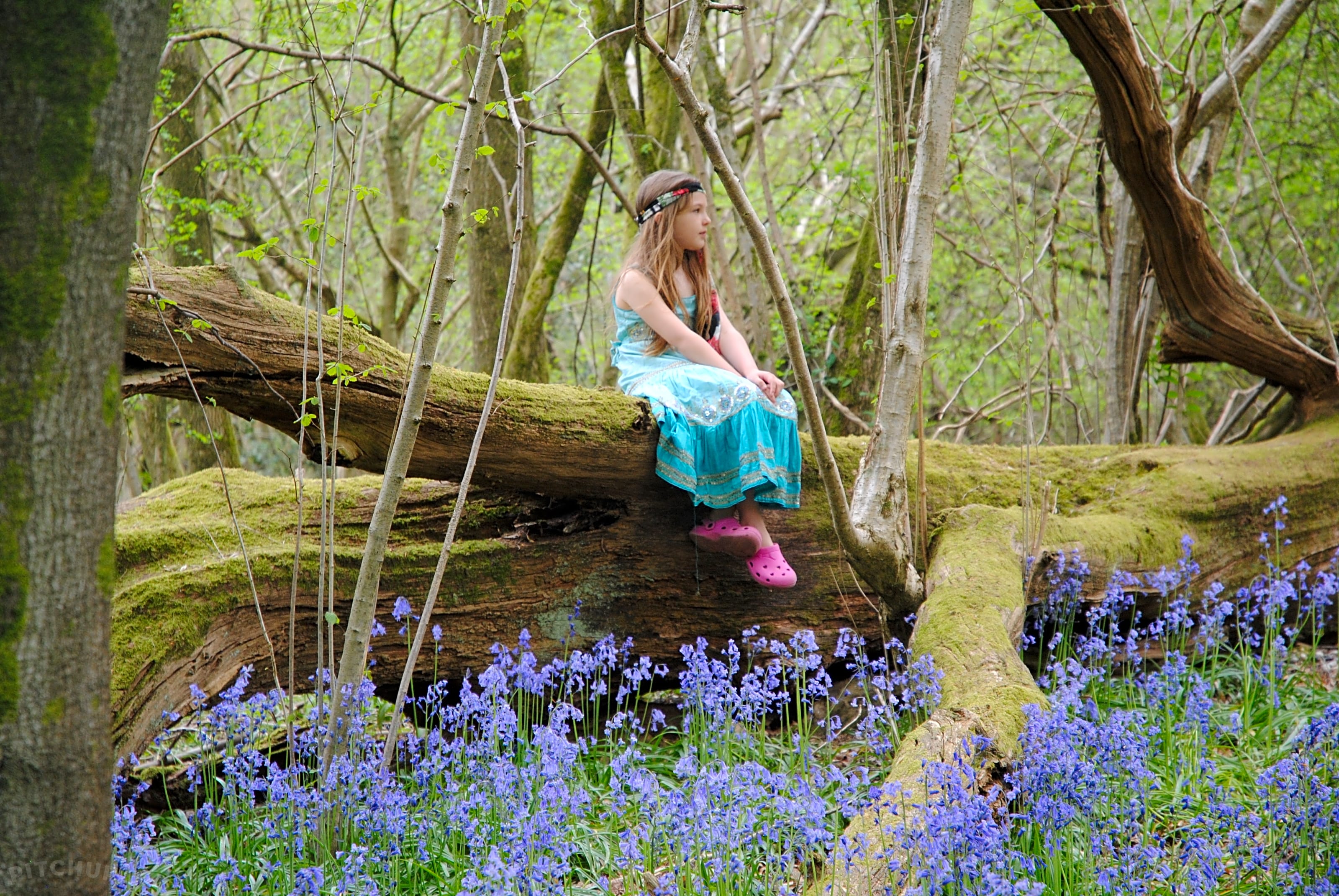 Stanbridge Farm, Petersfield, Hampshire | Pitchup.com