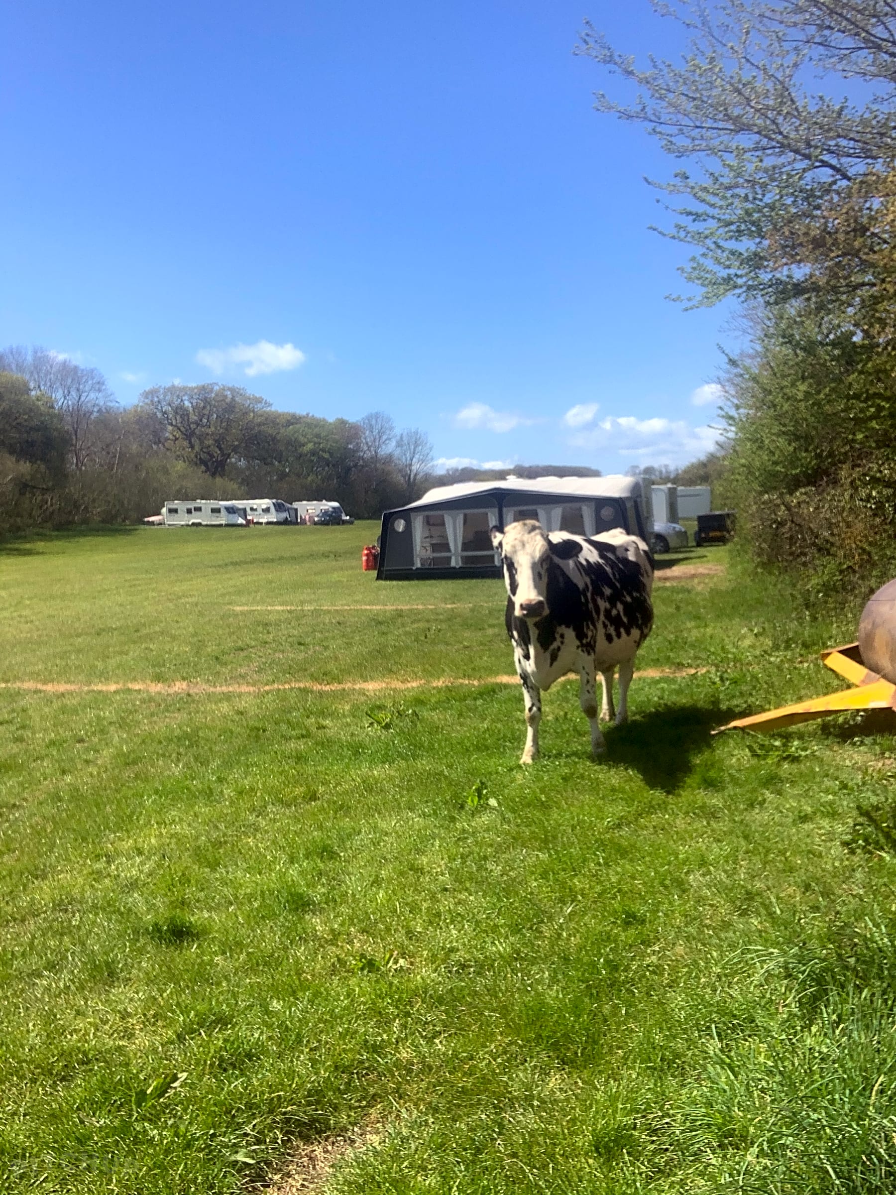 Tatton Farm Campsite, Weymouth, Dorset - Updated 2025 prices | Pitchup.com