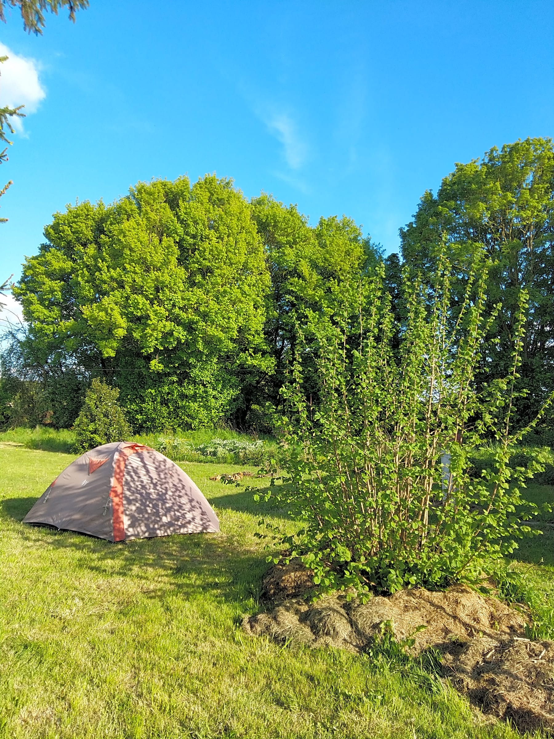 Campsites in Le Mans, Sarthe, France 2025 from £13/nt | Pitchup.com