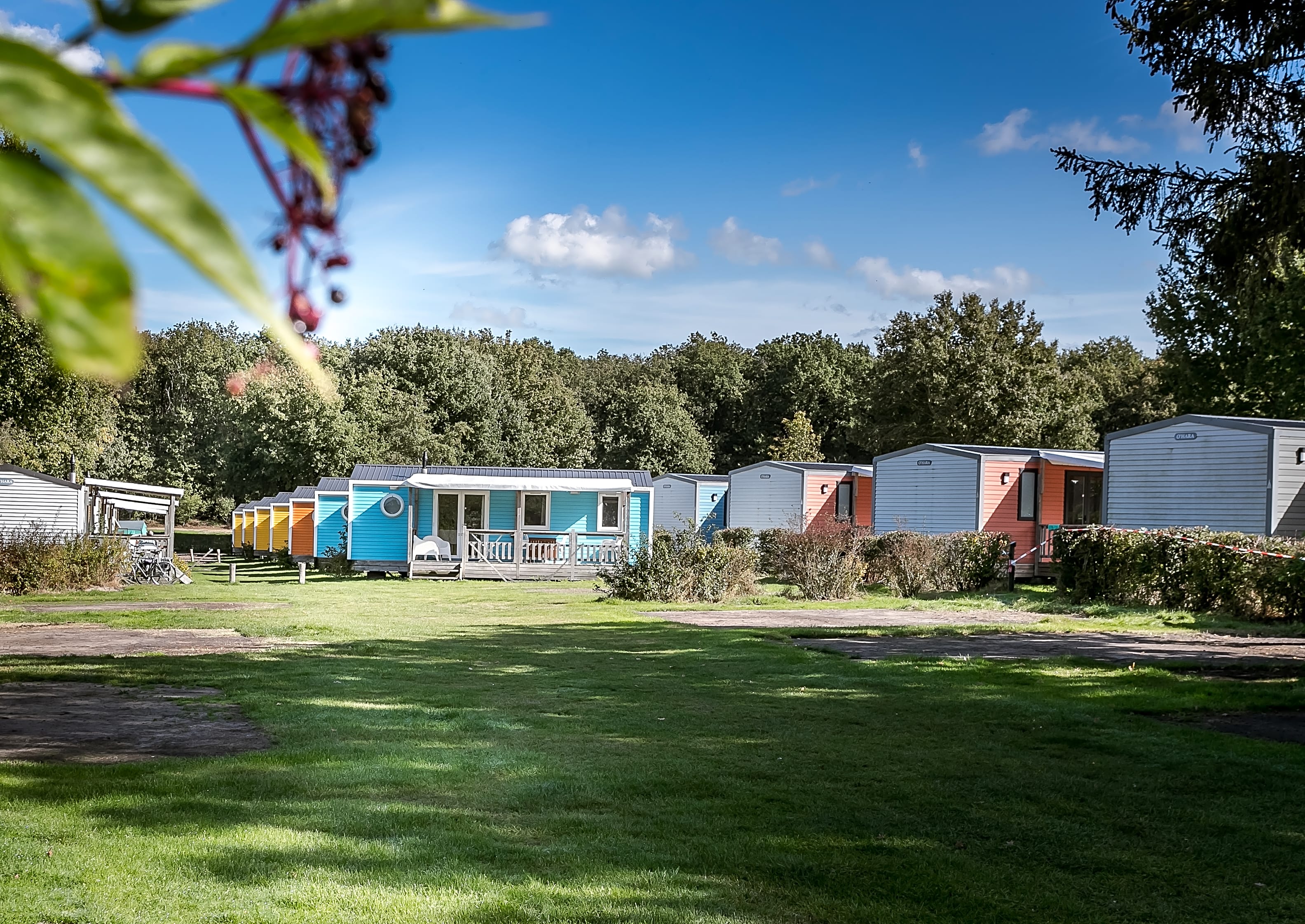 Vakantiepark De Luttenberg, Luttenberg, Overijssel | Pitchup.com