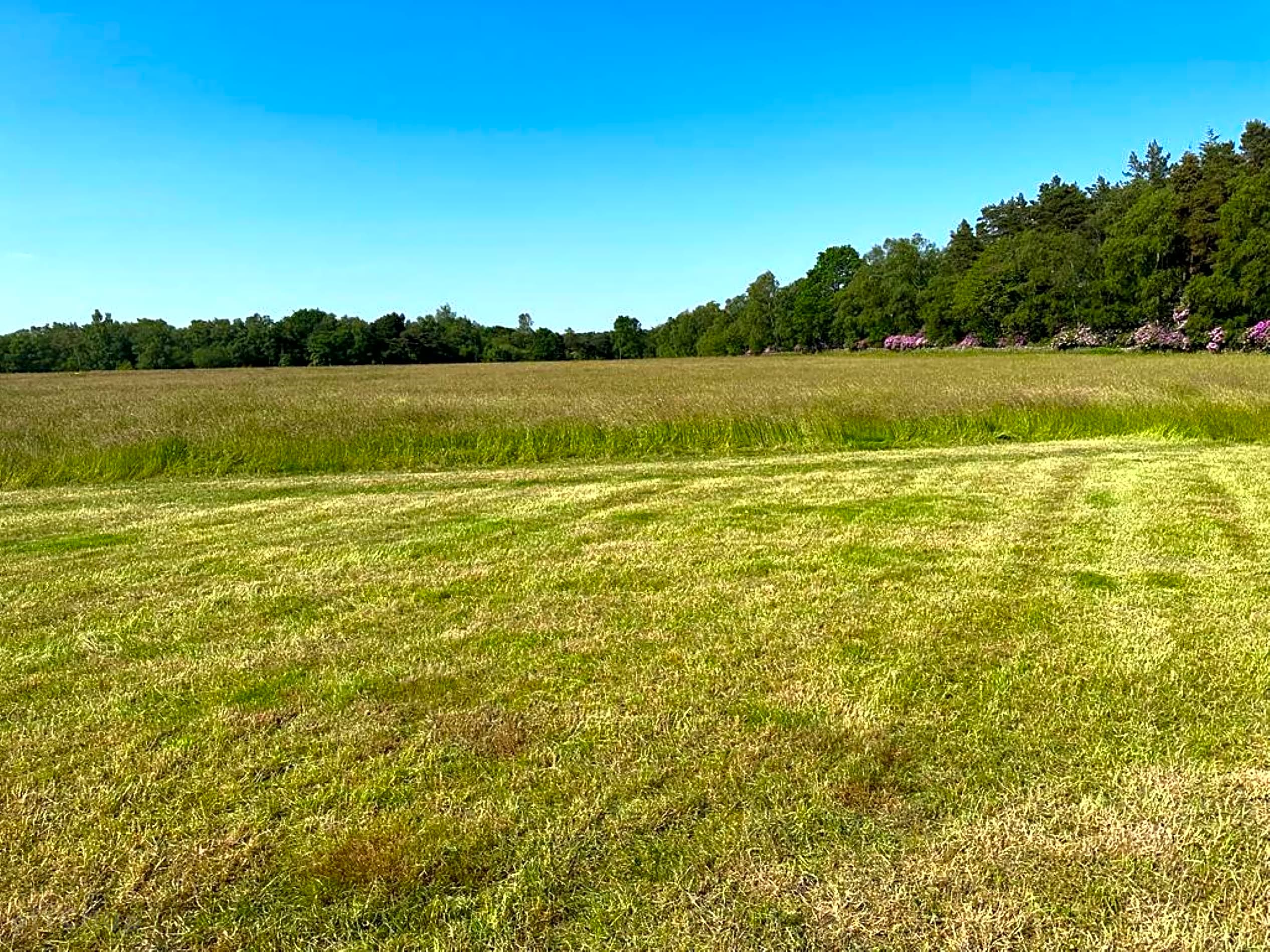 Matlock Farm Park Camping, Matlock, Derbyshire - Updated 2026 prices ...