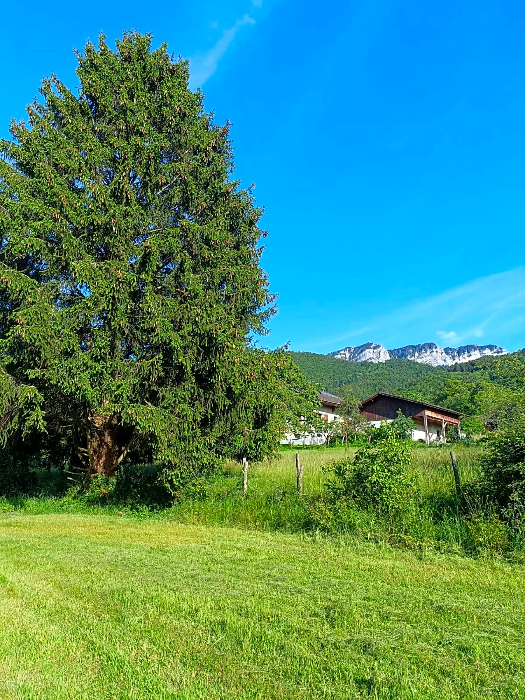 Camping Le Rys, Lugrin, Haute-Savoie - Updated 2026 prices | Pitchup.com