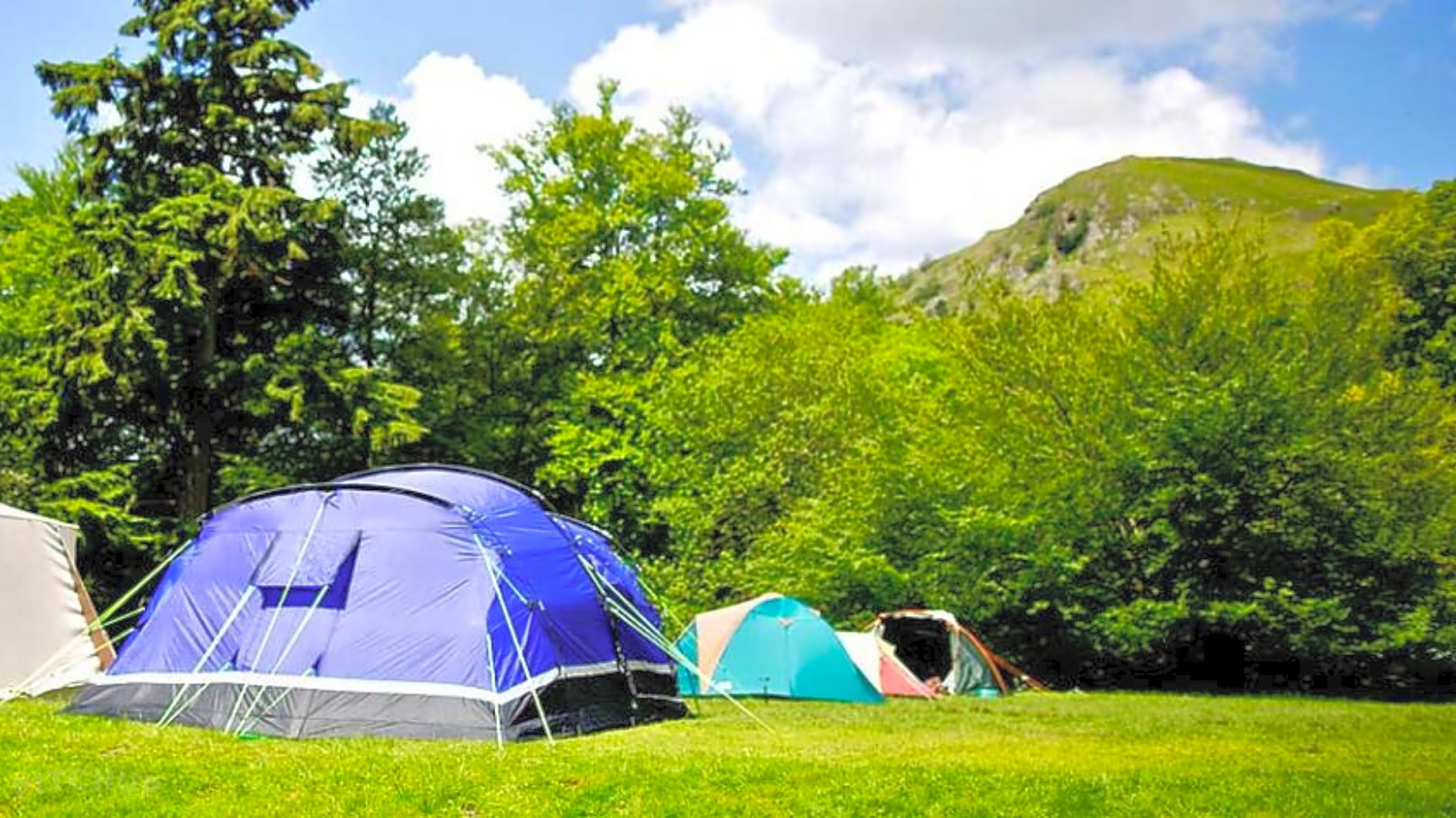 Rydal Hall Campsite, Ambleside, Cumbria - Updated 2026 prices | Pitchup.com