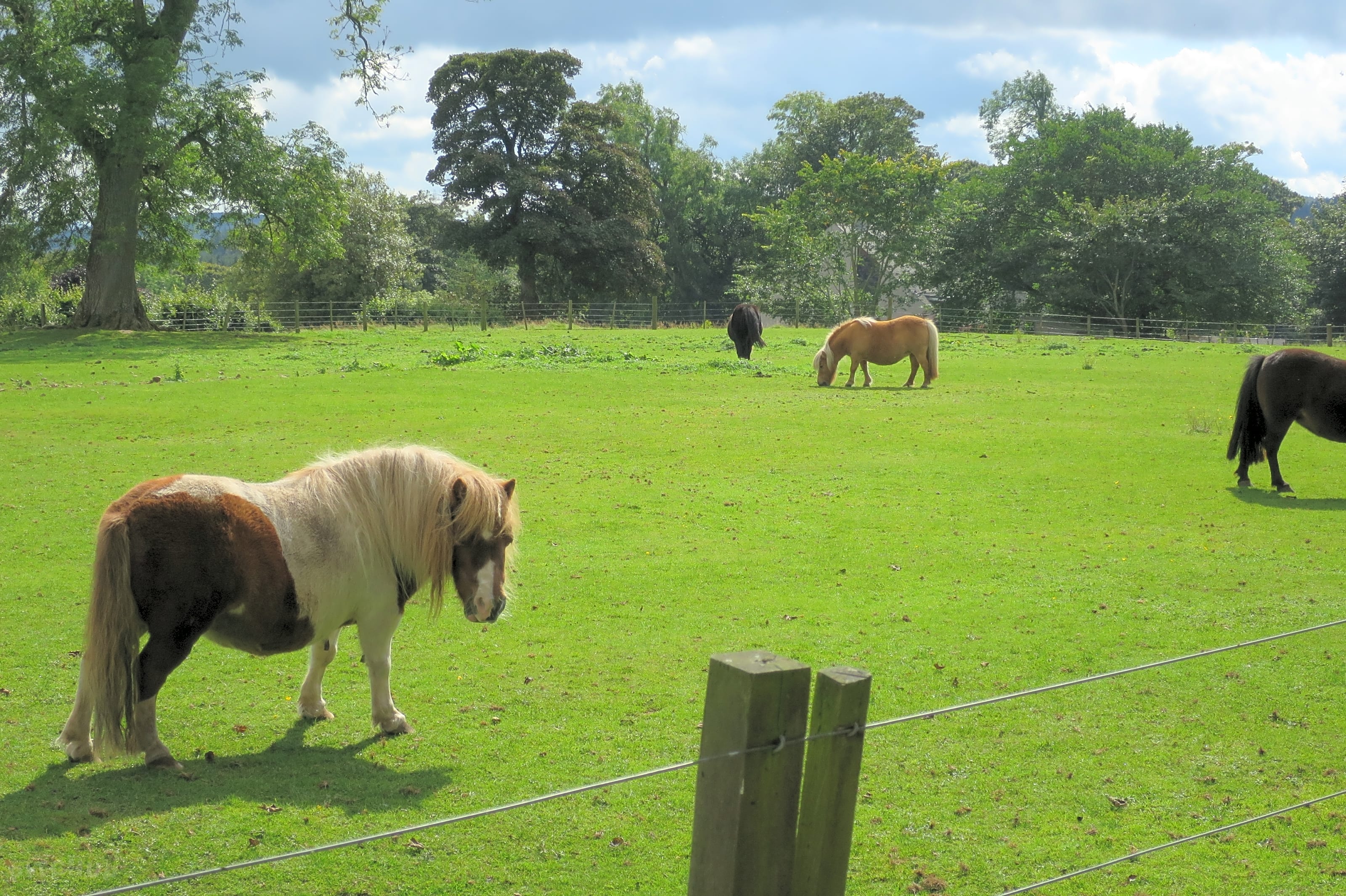 Airhouses, Oxton, Scottish Borders | Pitchup.com
