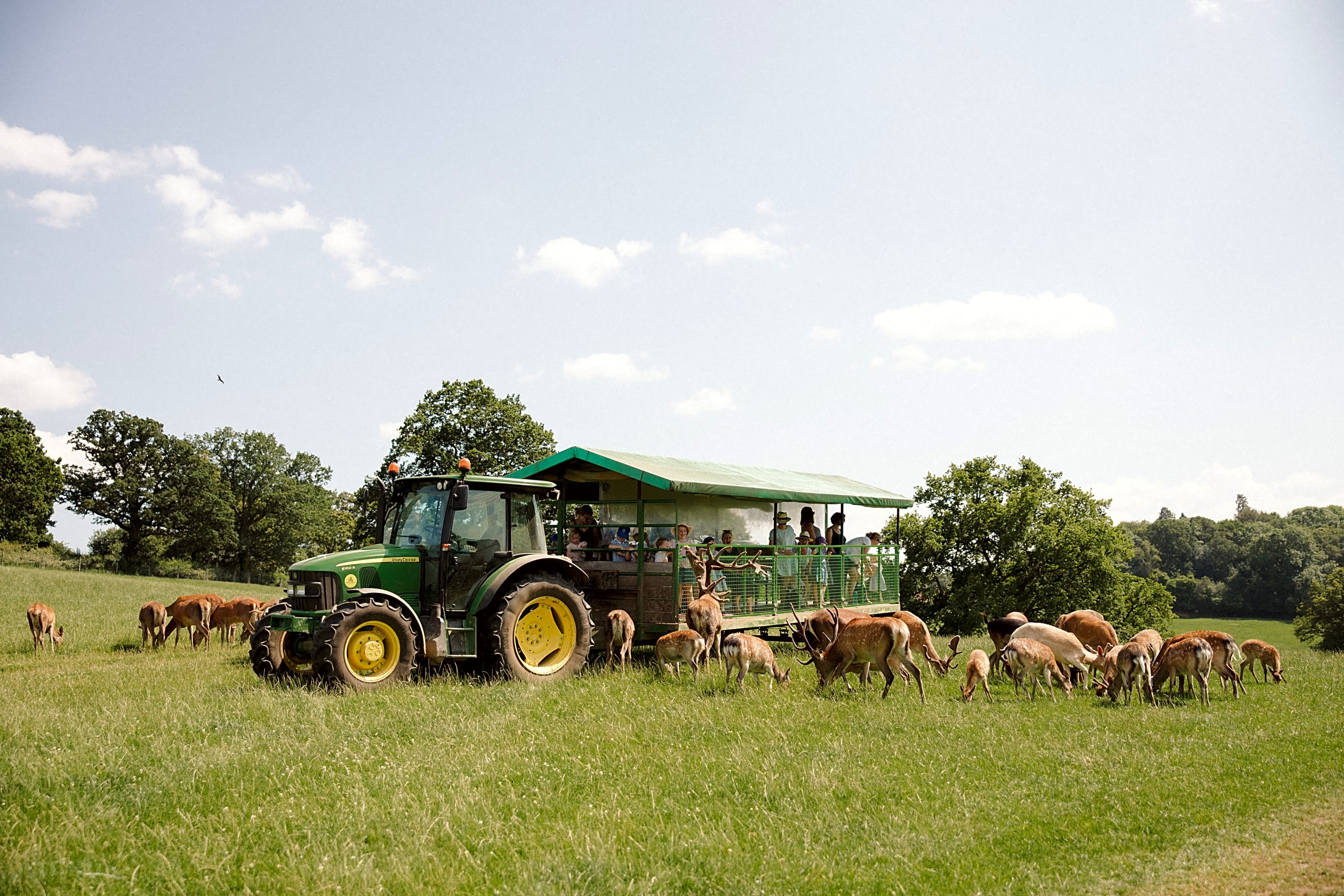 Bucklebury Farm, Reading, Berkshire - Updated 2026 prices | Pitchup.com