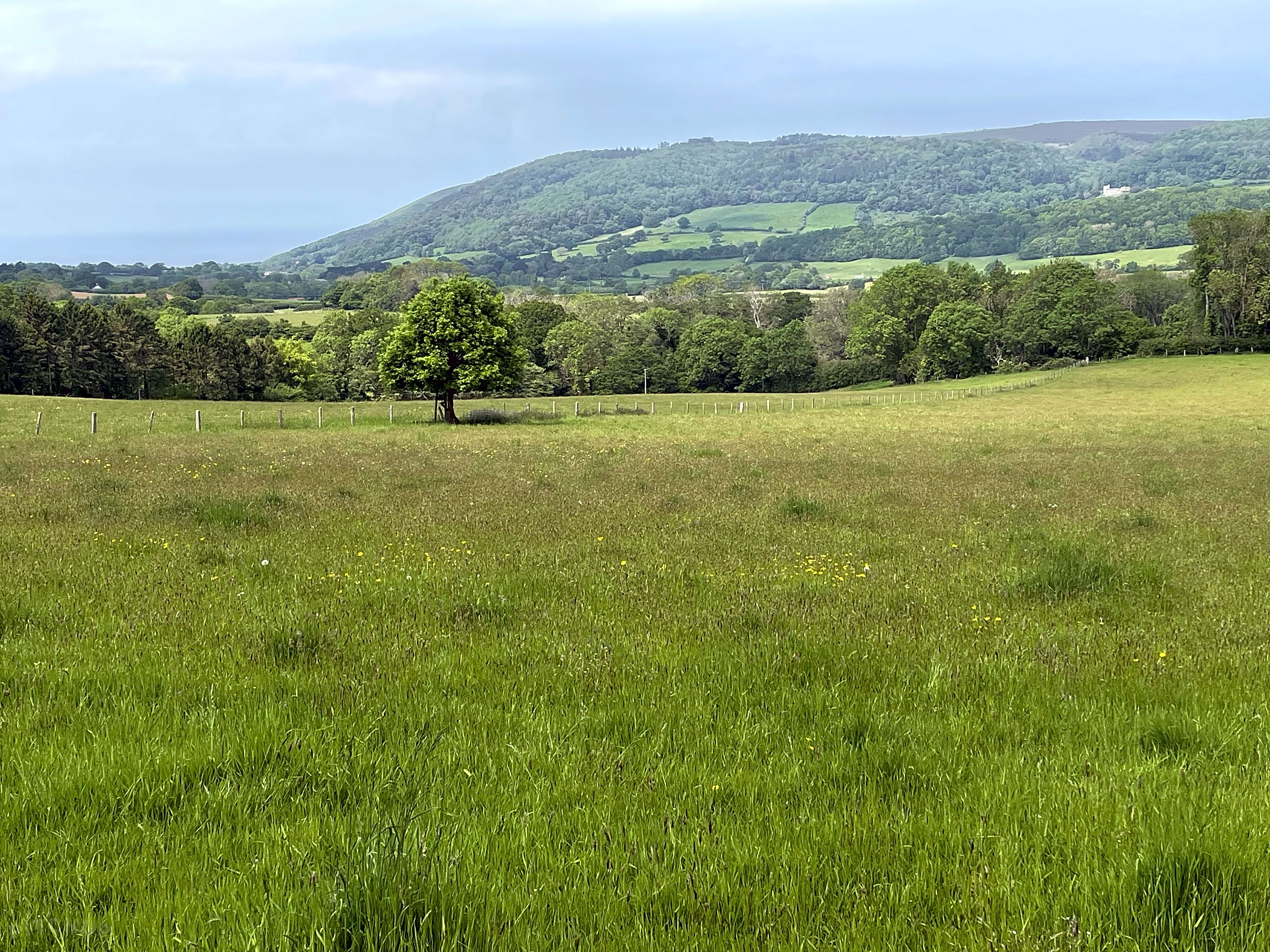 Porlock Vale Campsite, Minehead, Somerset - Updated 2024 prices ...