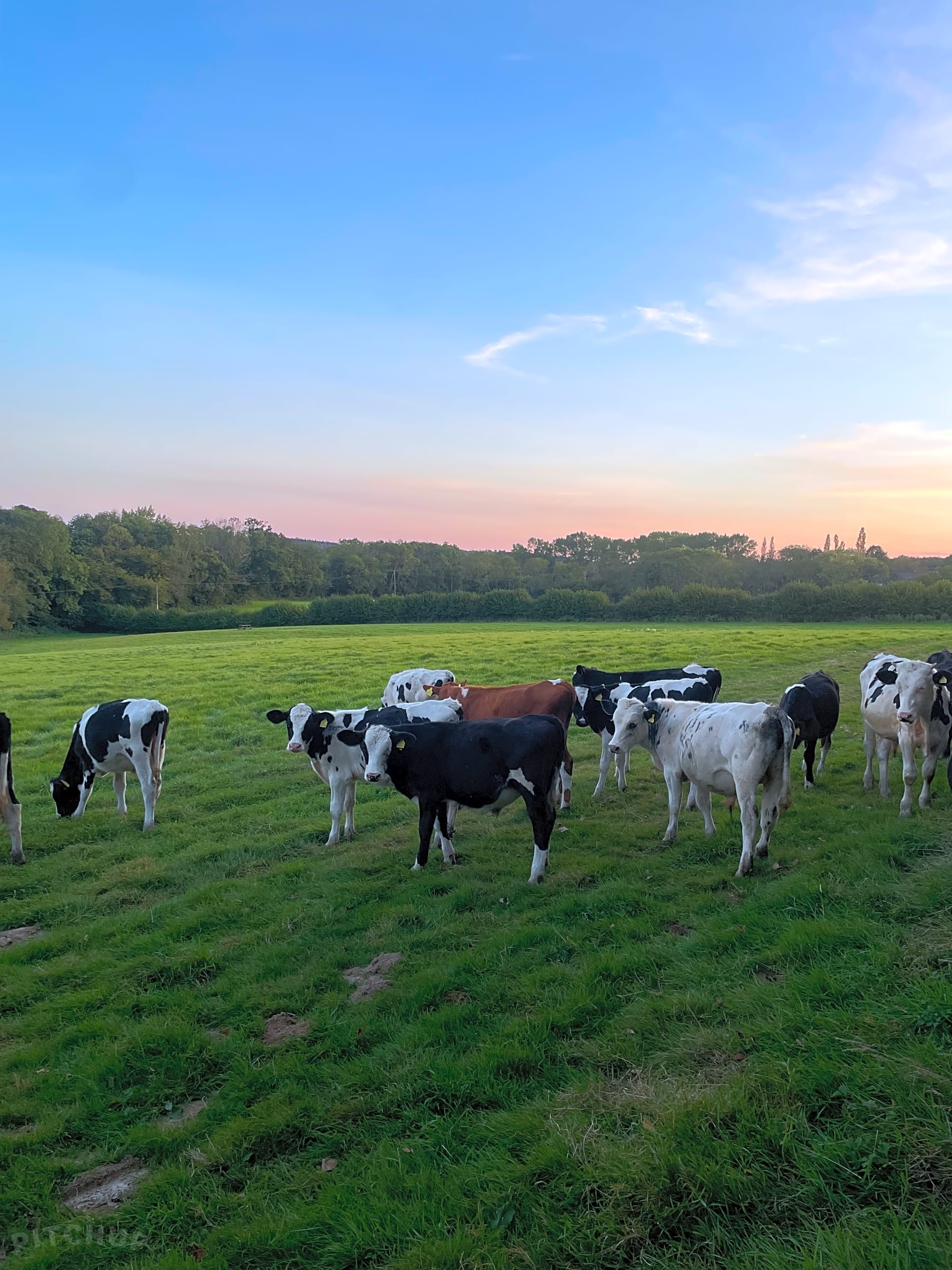 Netherfield Place, Netherfield, East Sussex | Pitchup.com