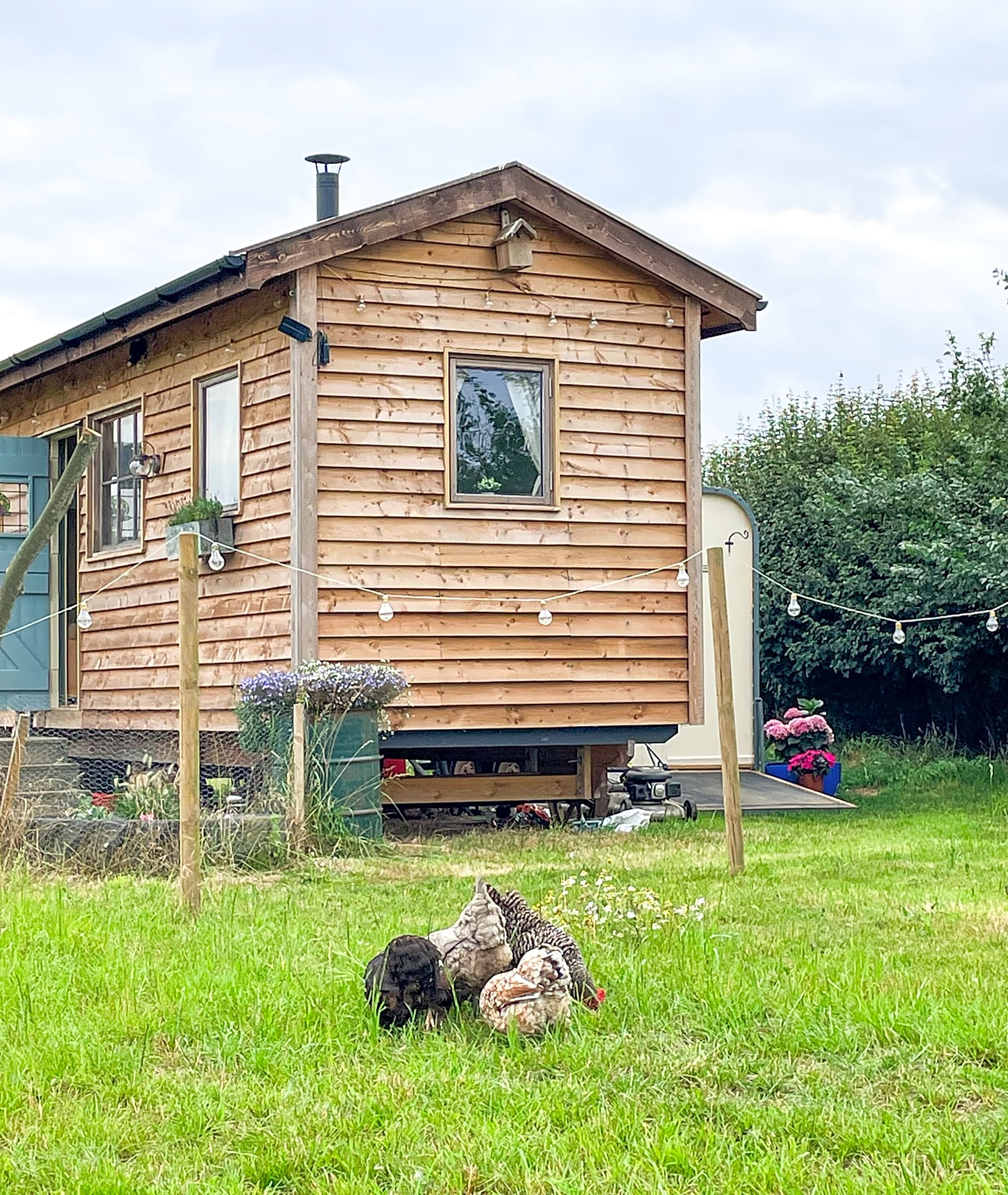 Mucking Fuddle, Norwich, Norfolk - Updated 2026 prices | Pitchup.com